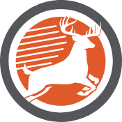 Club Credit Card Apply | Sportsman's Guide